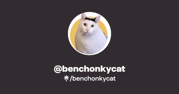 Ben Chonky Cat